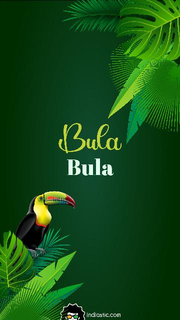Zero cost bula name mobile wallpapers