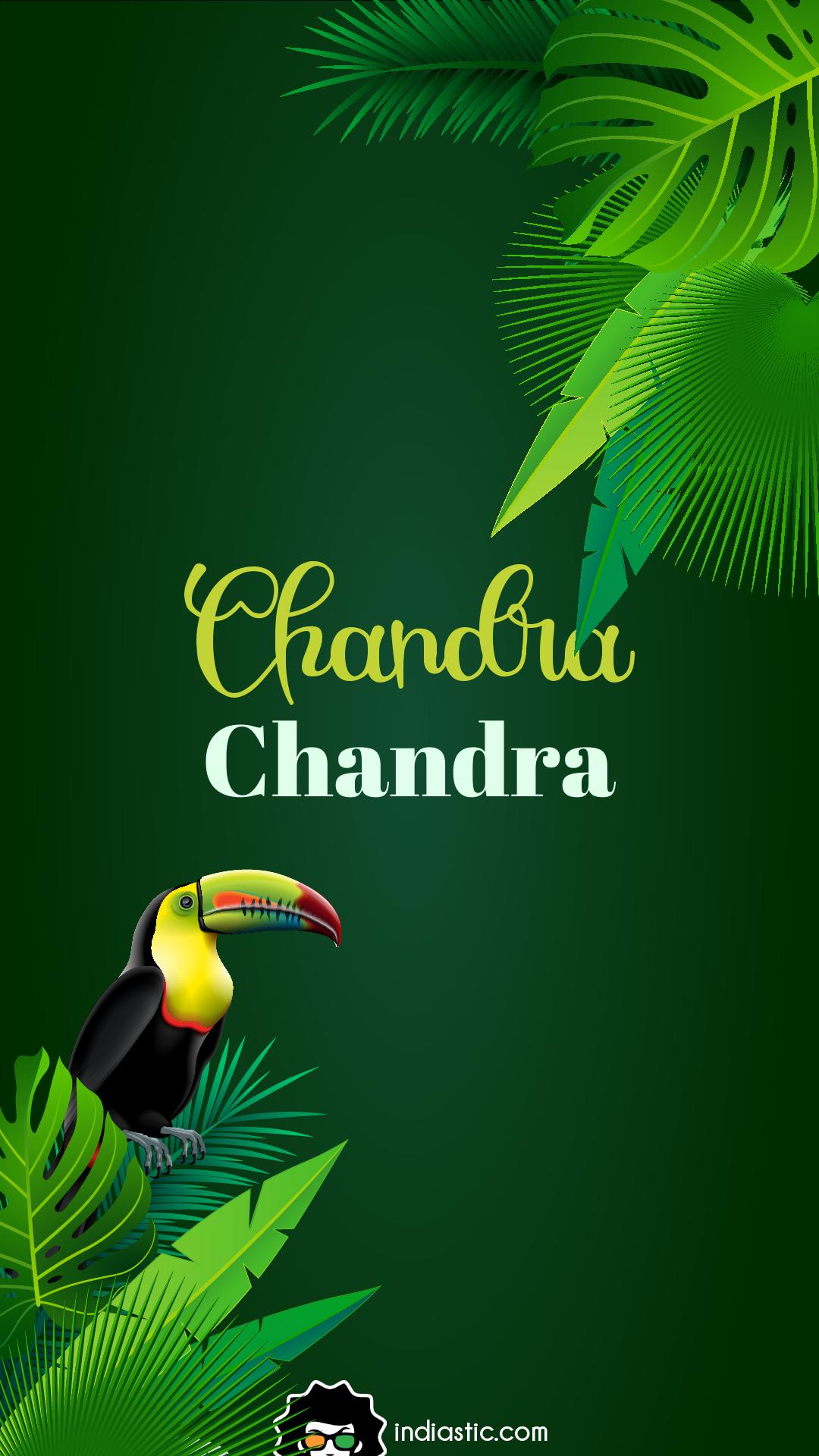 Jungle theme story image with Chandra name