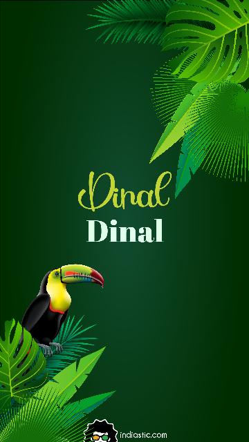 Jungle theme story image with Dinal name