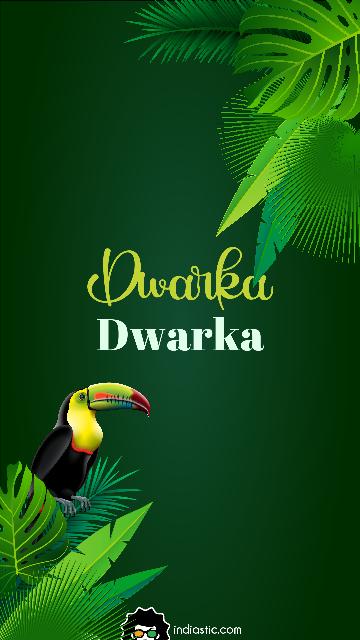 Jungle theme story image with Dwarka name