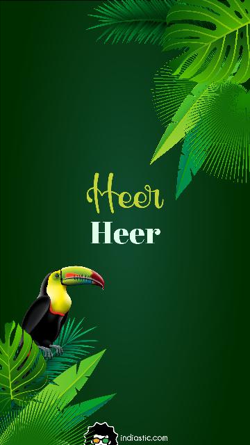 Jungle theme story image with Heer name