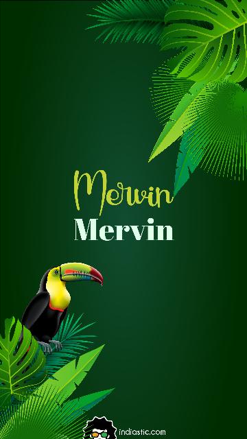 Jungle theme story image with Mervin name