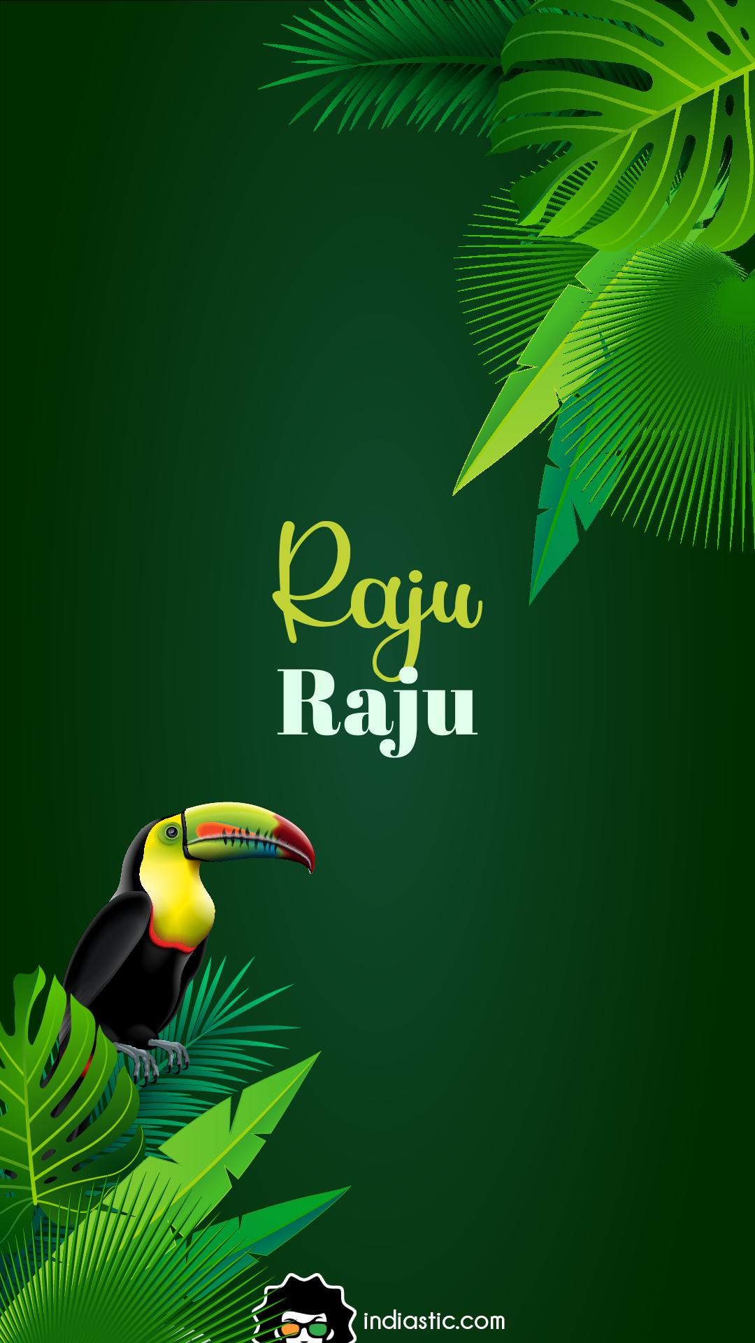 Raju Logo Wallpaper