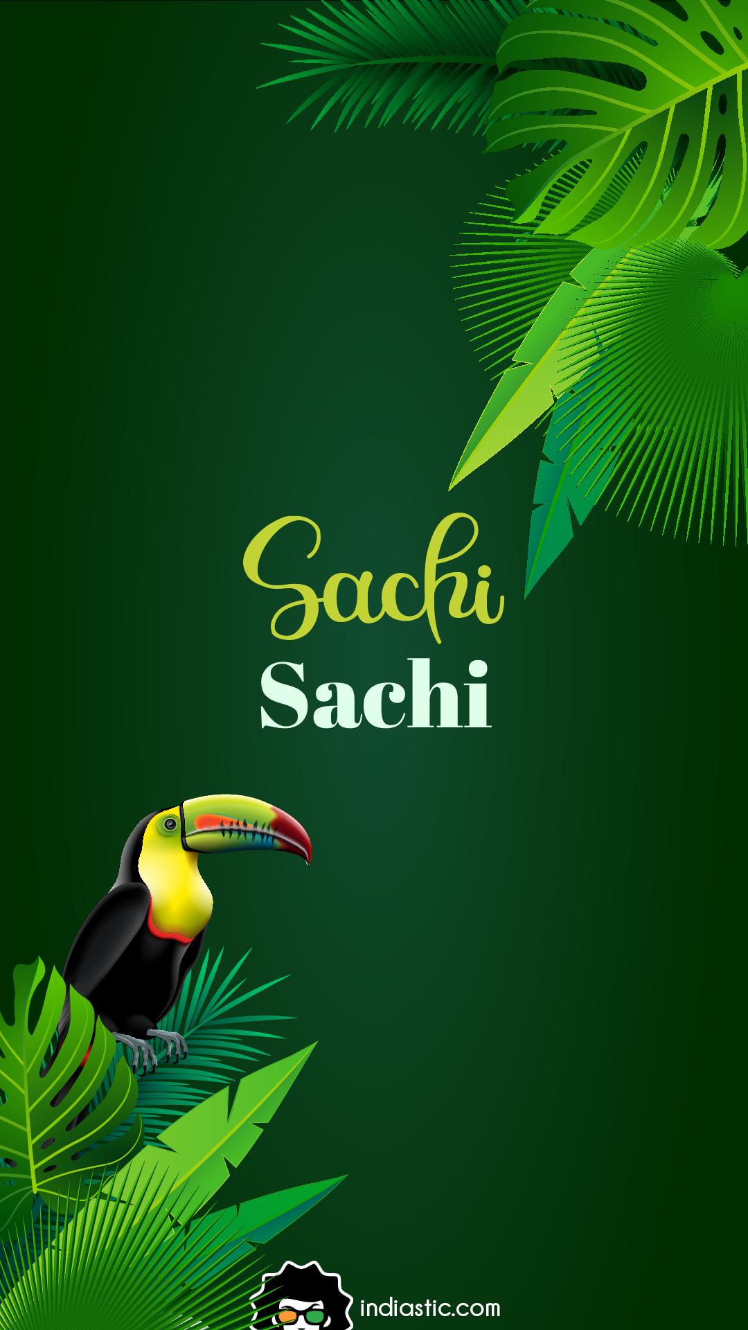 Sachi Name