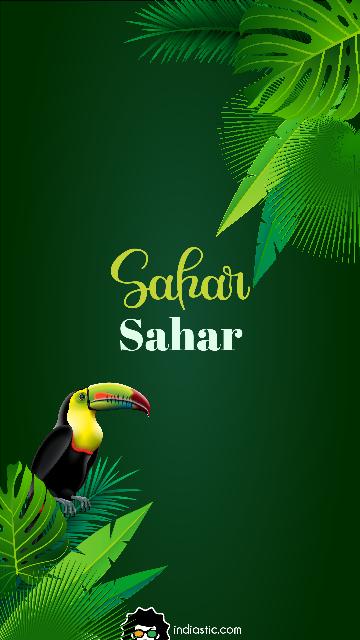 Jungle theme story image with Sahar name