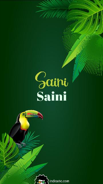 Saini 3d name wallpaper