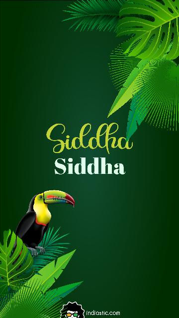 Jungle theme story image with Siddha name